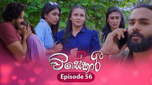 Visekari teledrama videos and actor details | Actor.lk